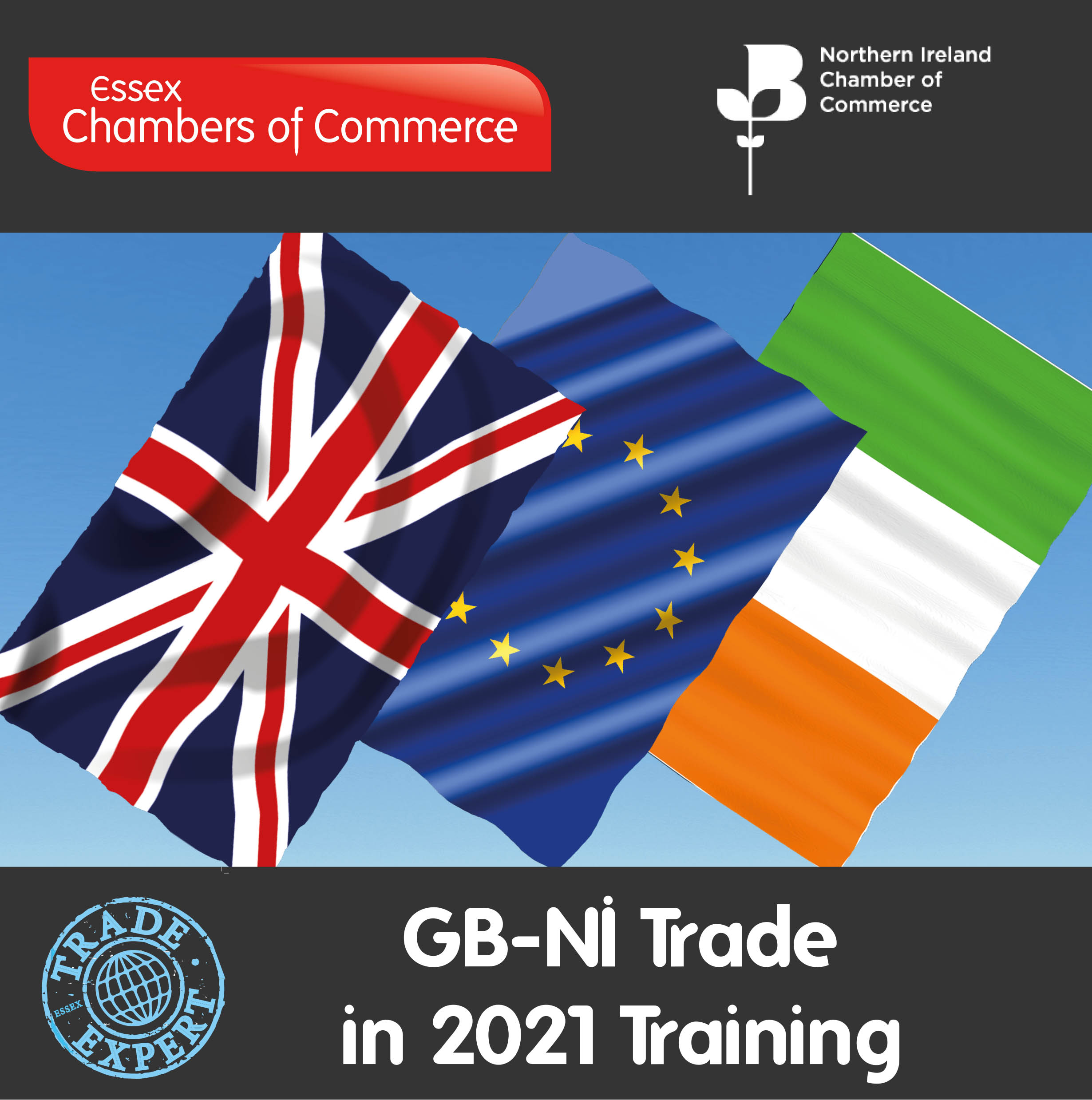 International Trade News - Need help understanding the NI Protocol ...